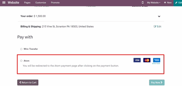 Atom Payment Gateway - Odoo Module | Kanak Infosystems